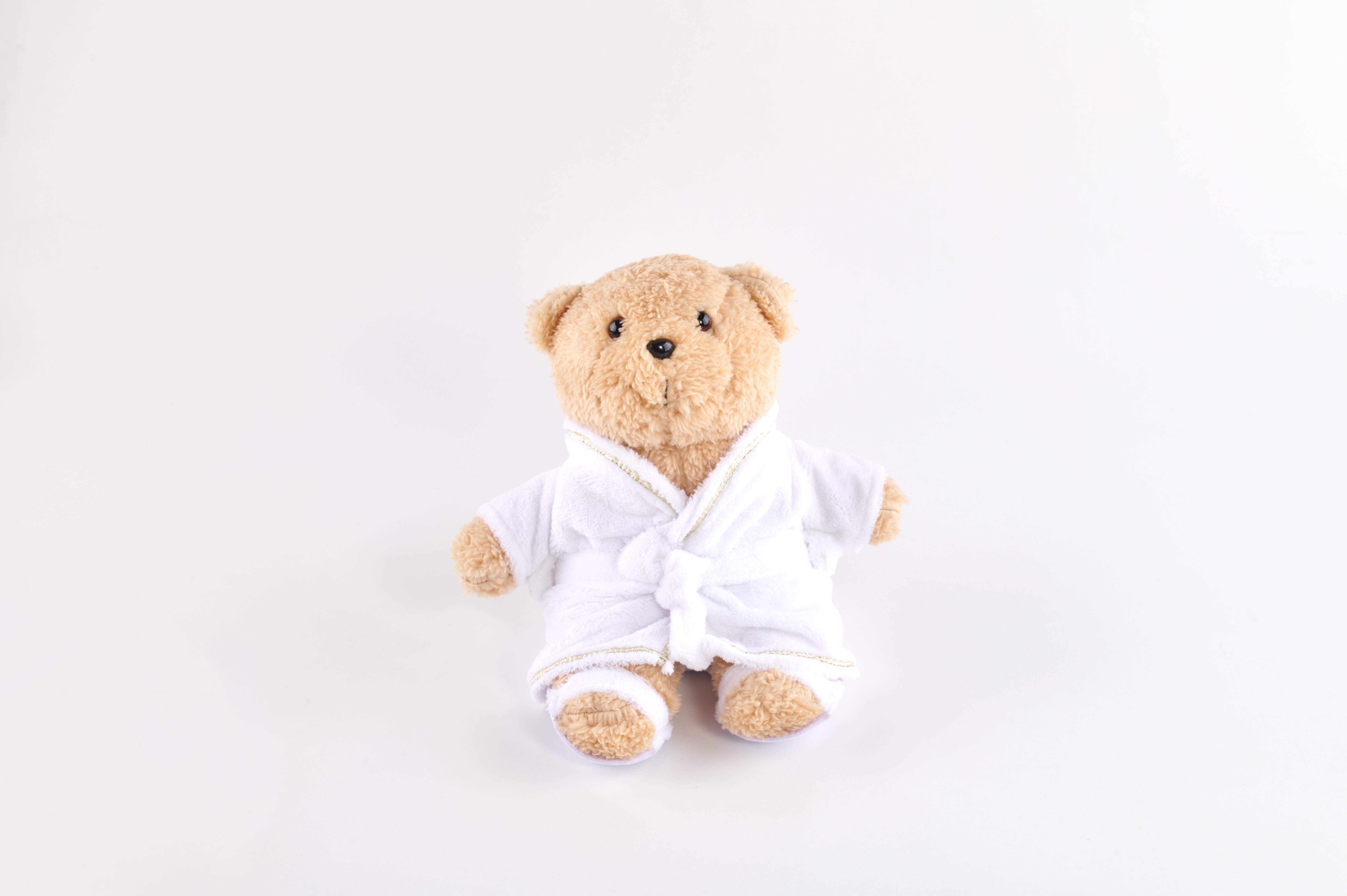 Fullerton bears, spa bear